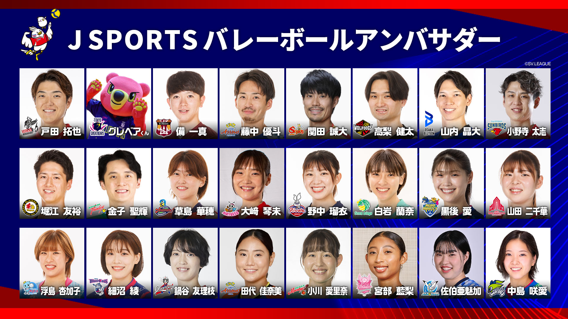 「J SPORTSバレーボールアンバサダー」に各クラブ選手などが就任 様々な発信で大同生命SV.LEAGUEを盛り上げる ニュース | 公益社団法人SVリーグ/一般社団法人ジャパンバレーボール ...